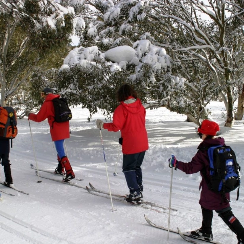 Dinner Plain | Snow | Victoria's High Country