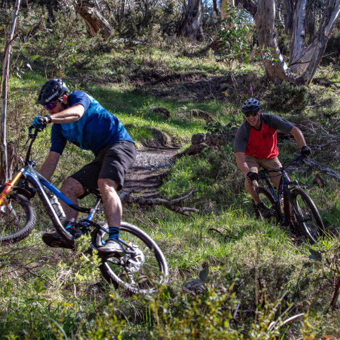Dinner Plain | Snow | Victoria's High Country