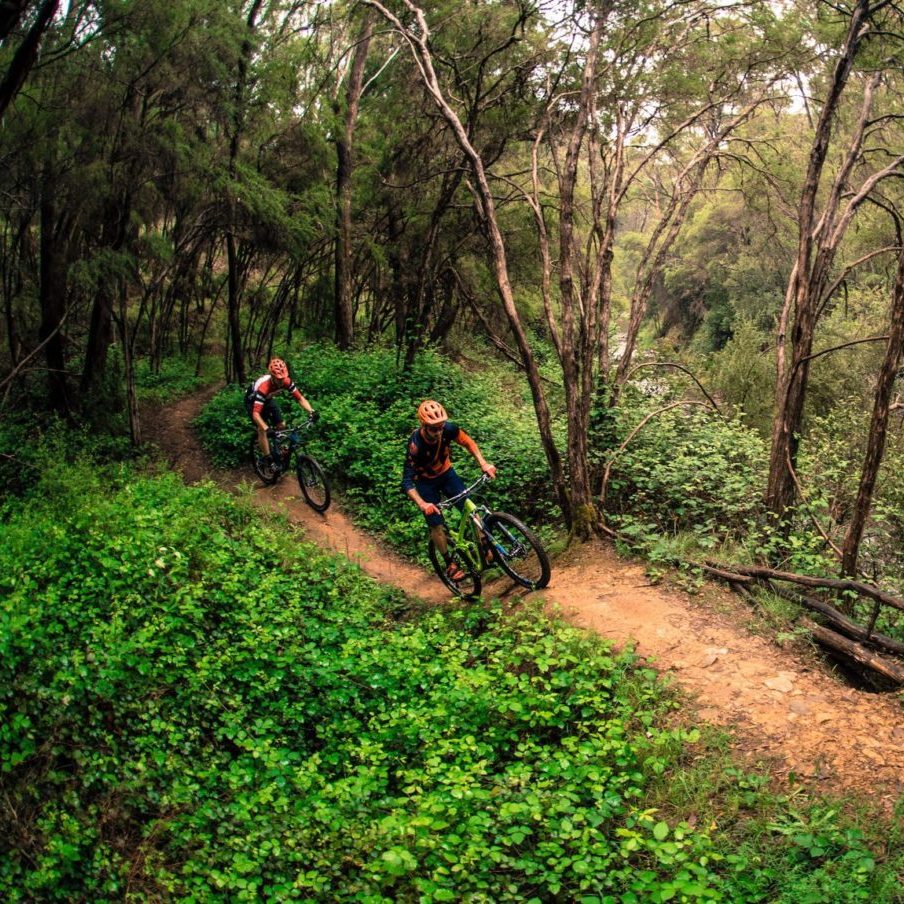 Bright Victoria | Autumn | Adventure playground | Food and Wine