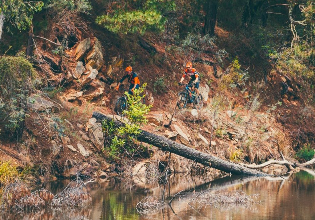 Bright Victoria | Autumn | Adventure playground | Food and Wine