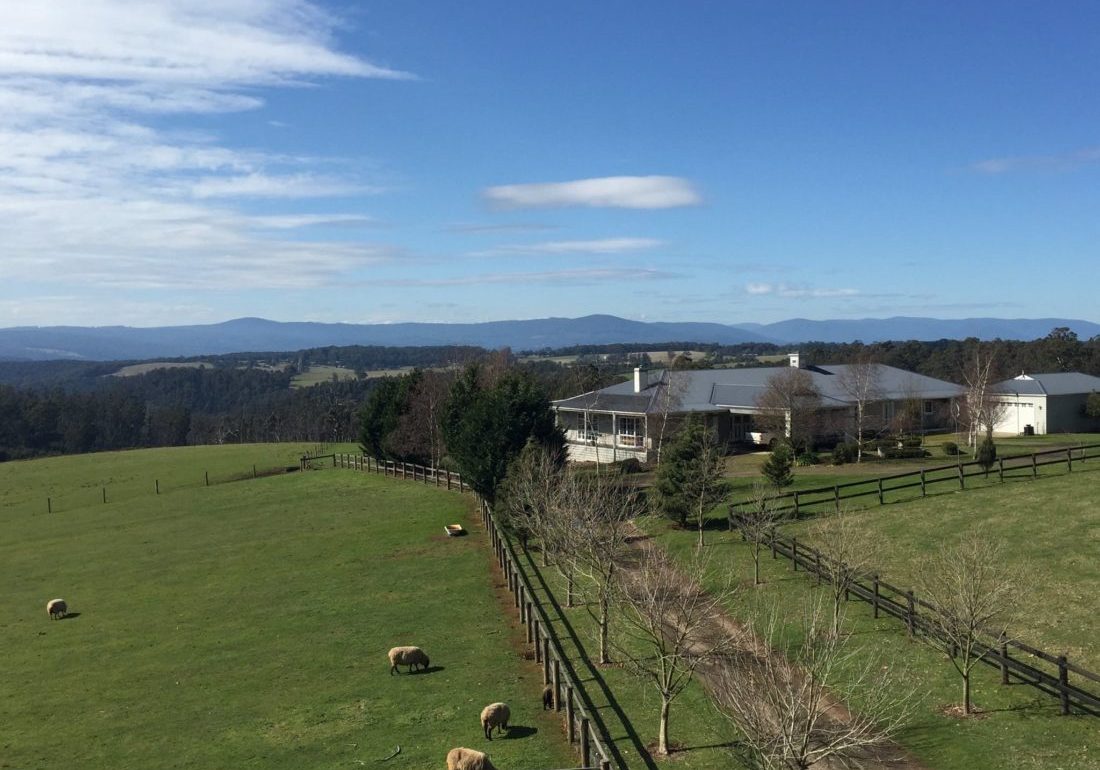 KINGLAKE | VICTORIA'S HIGH COUNTRY