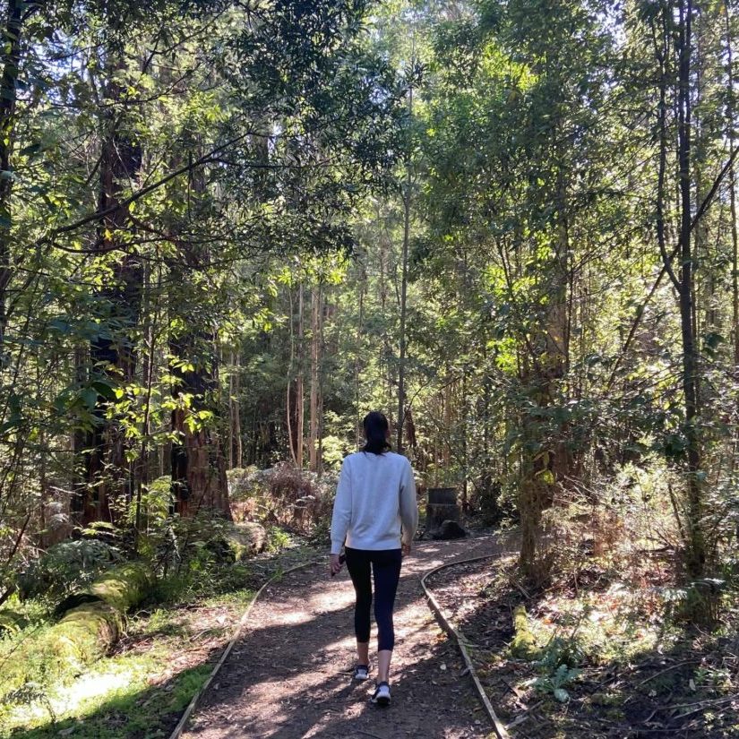 KINGLAKE | VICTORIA'S HIGH COUNTRY