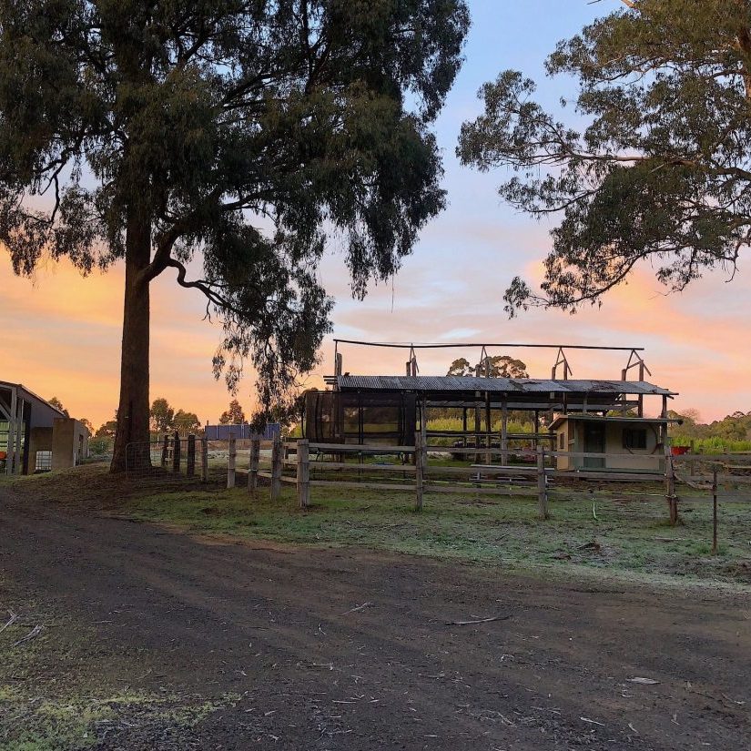 KINGLAKE | VICTORIA'S HIGH COUNTRY