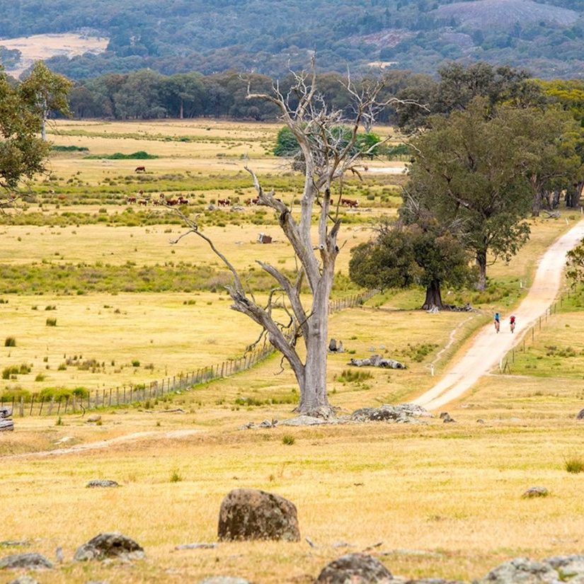 Chiltern Victoria | Antiques | Gold rush | Historic buildings