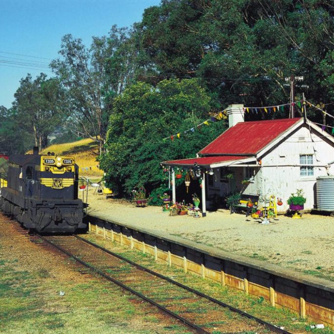 ALEXANDRA | VICTORIA'S HIGH COUNTRY