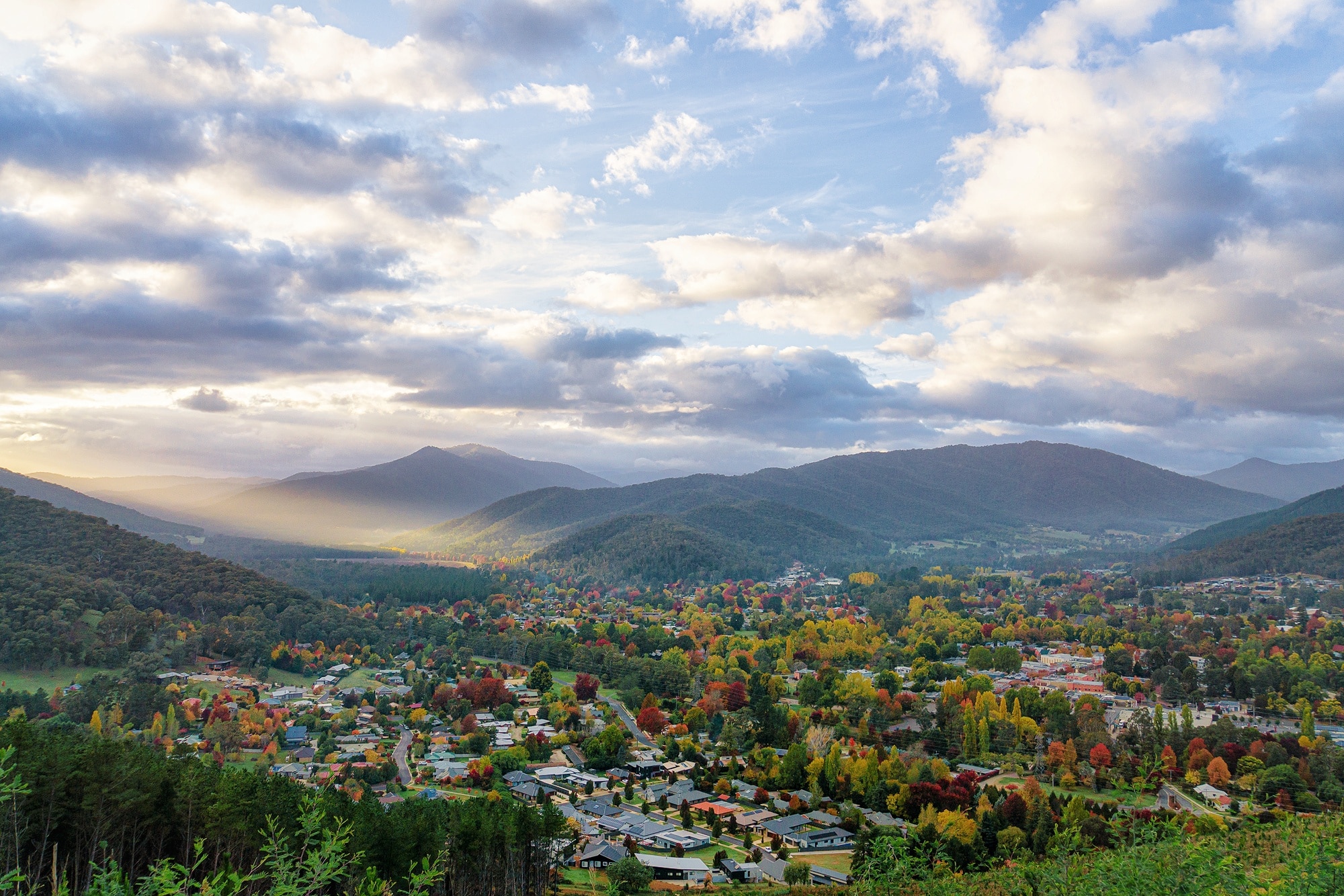 Bright Victoria | Autumn | Adventure playground | Food and Wine