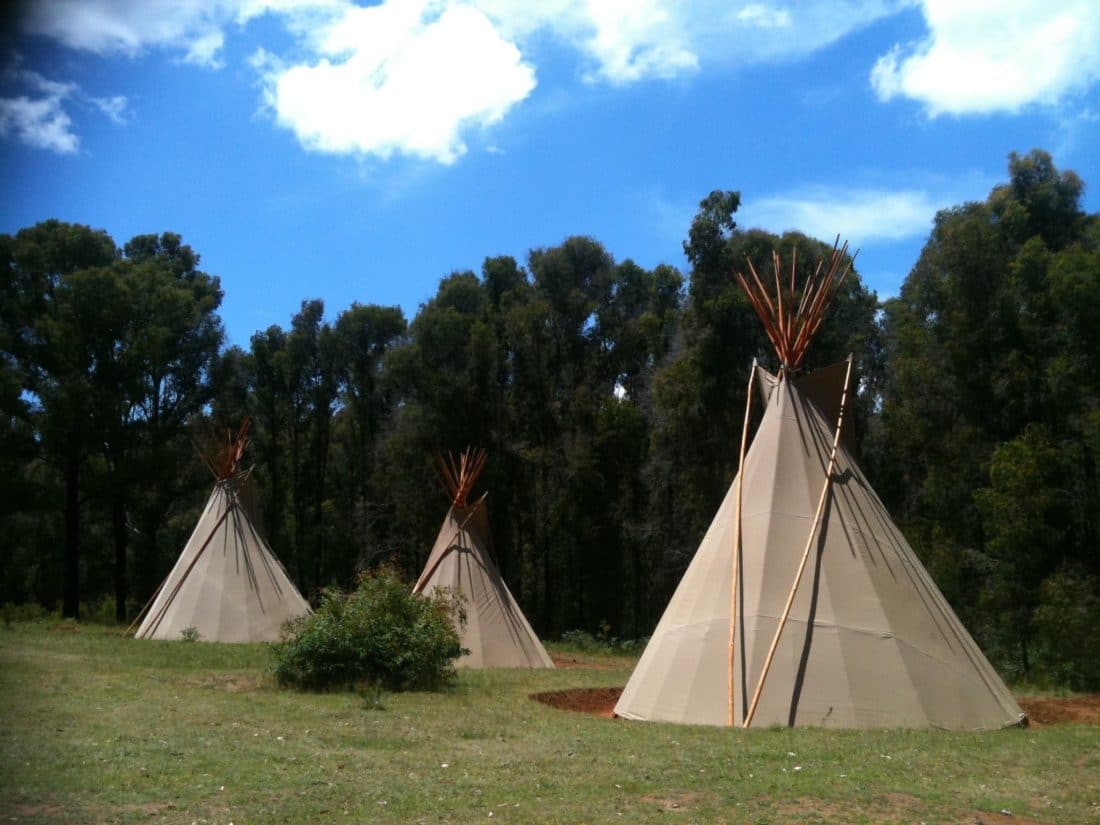 Kinglake Forest Adventures Camp - Victoria's High Country